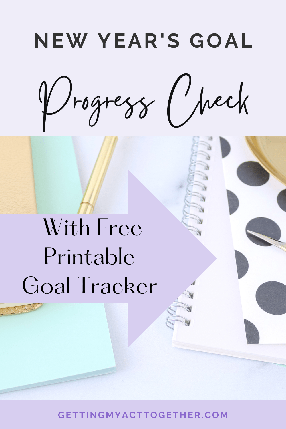 New Year's Goal Progress Check - Getting My Act Together